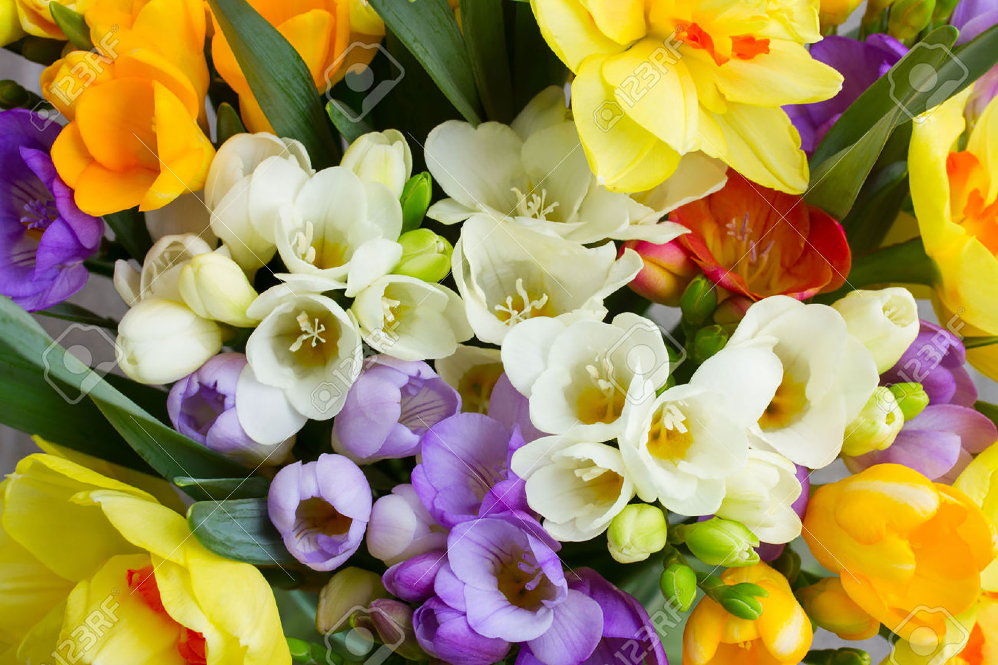 home-1 - Sweet Flowers
